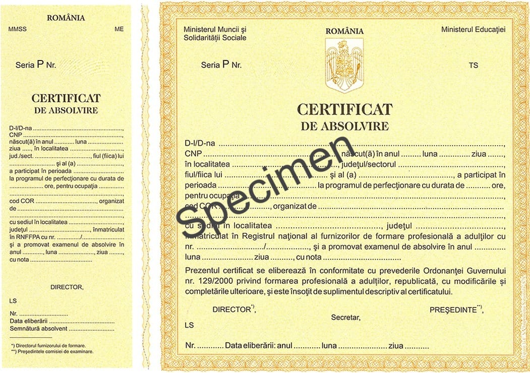 Cine poate fi formator? Ce este un formator( trainer) si cum faci ca sa ...